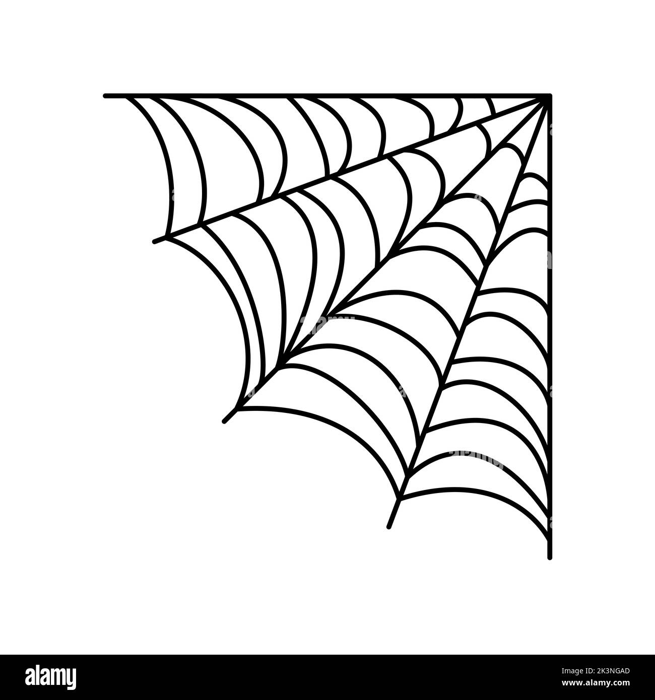 Corner Spider Web Cartoon