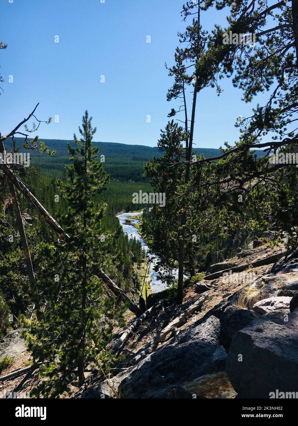 An aerial view of a river flowing through lush green national park ...