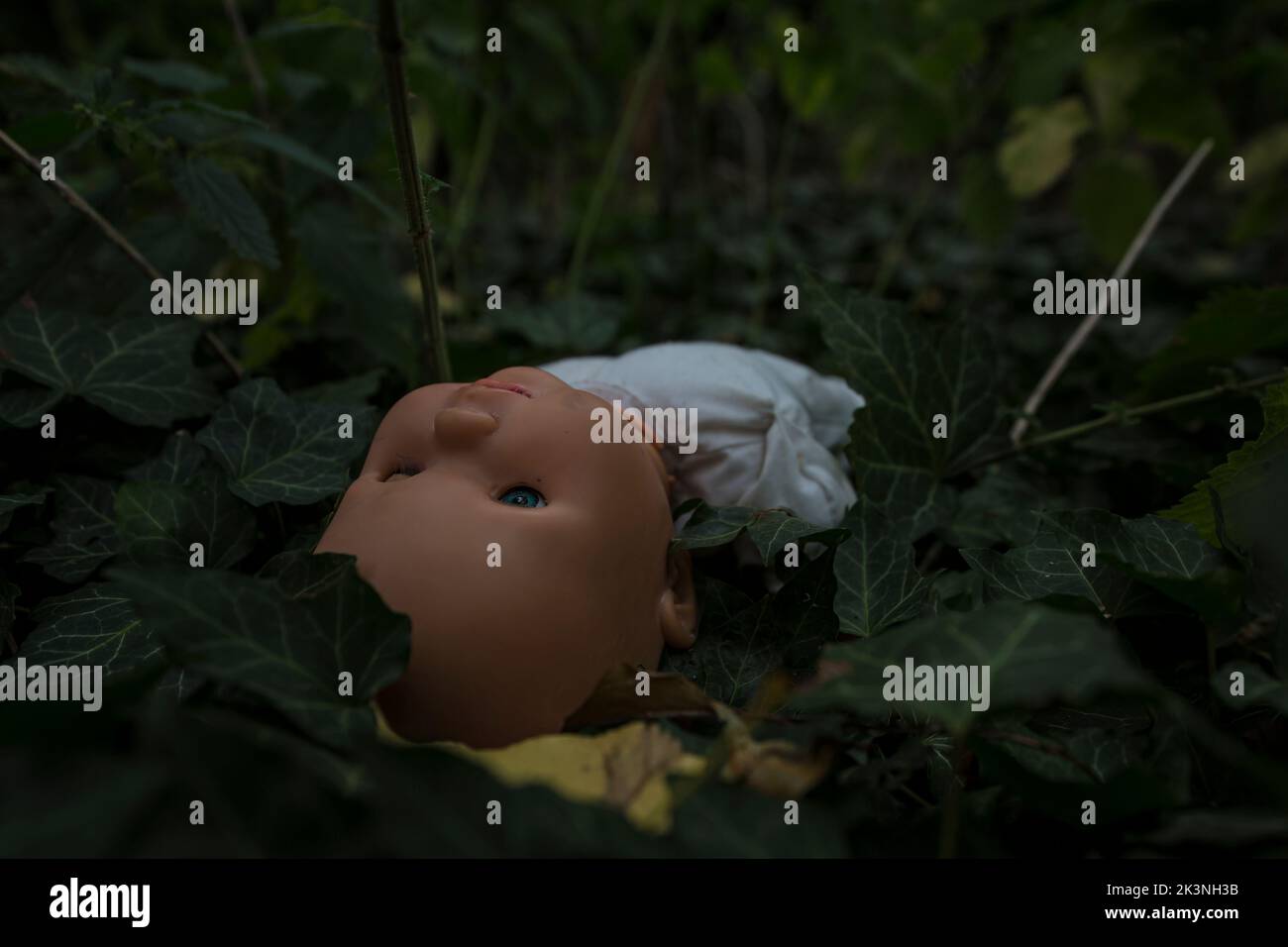 Dark scene of close up of child scary dolly in deep woods just before ...