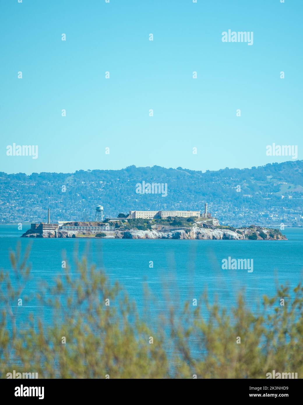 A vertical shot of Alcatraz island with the sea view and forested ...