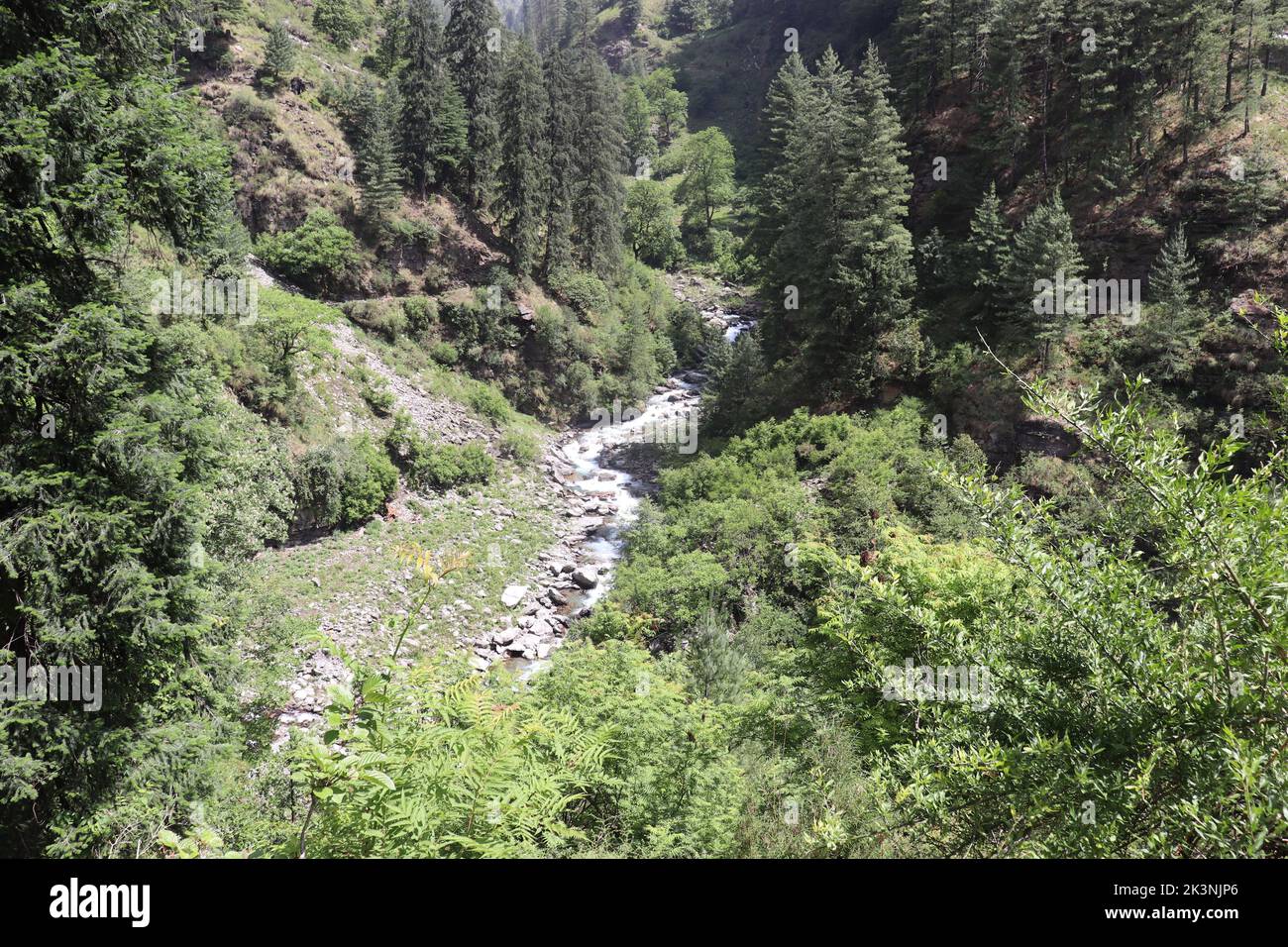 A river flowing in the valley in the deep forest in himalaya surrounded ...