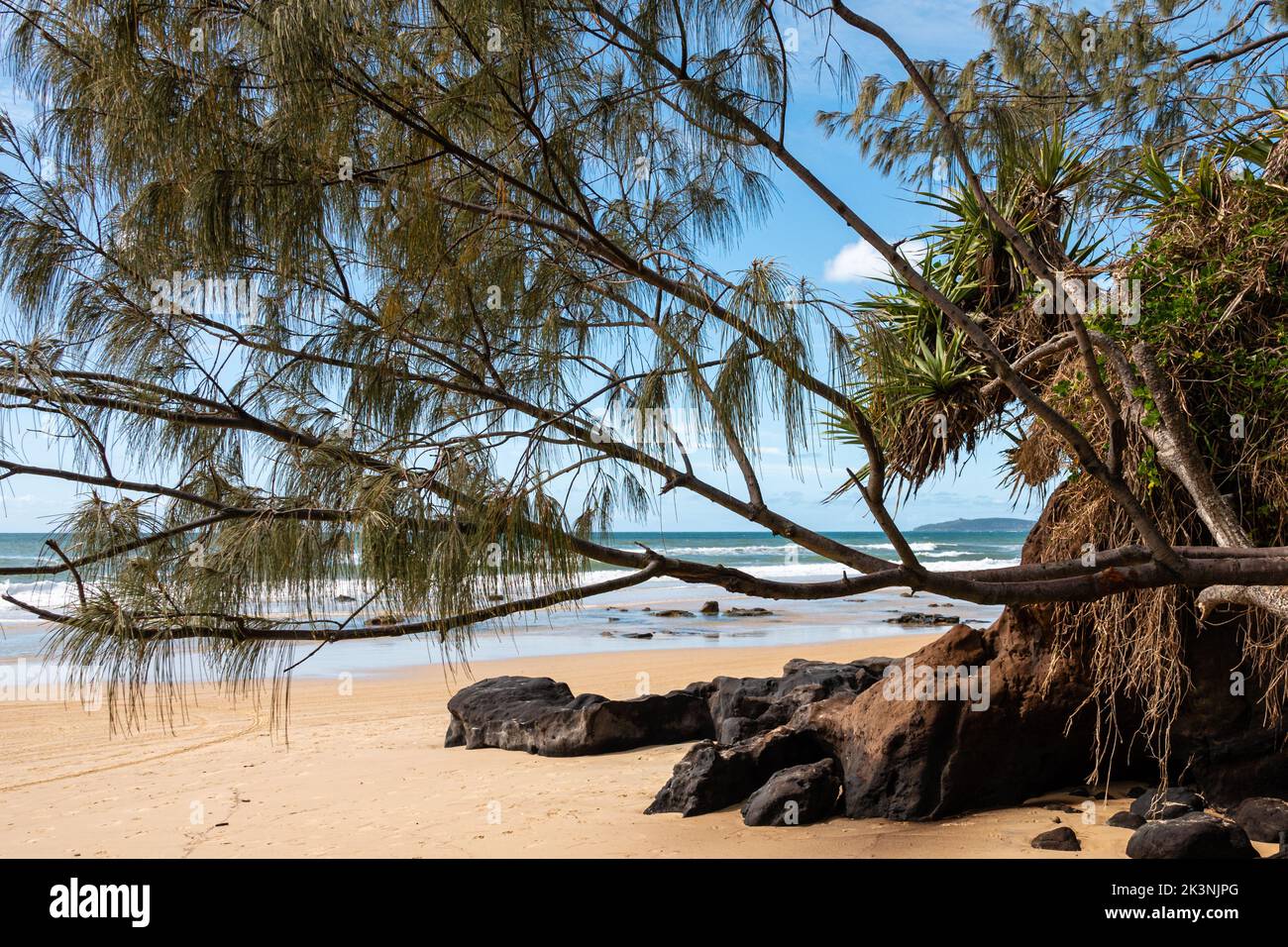 Beautiful beach with tree and rocks on the side Stock Photo - Alamy
