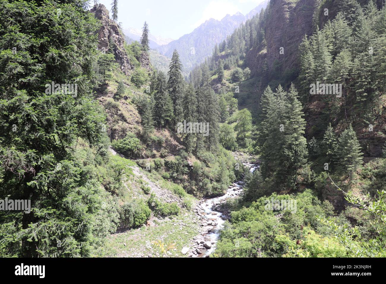 A river flowing in the valley in the deep forest in himalaya surrounded ...