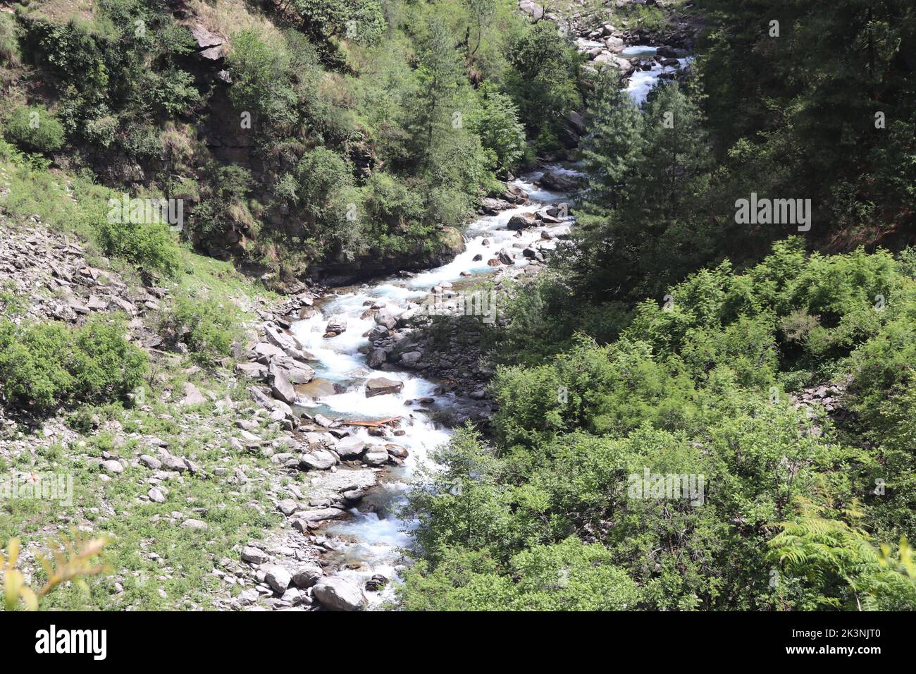A river flowing in the valley in the deep forest in himalaya surrounded ...