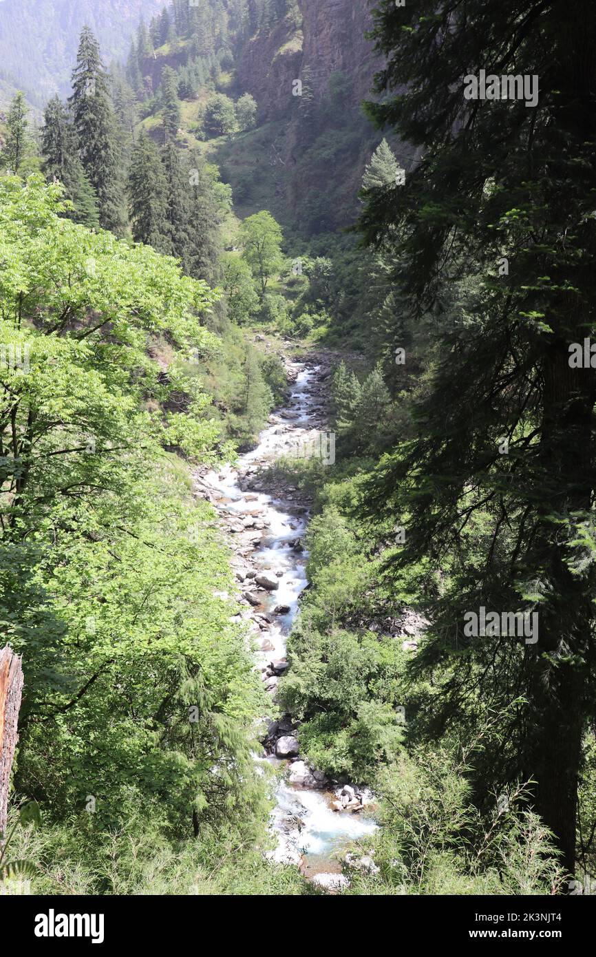 A river flowing in the valley in the deep forest in himalaya surrounded ...