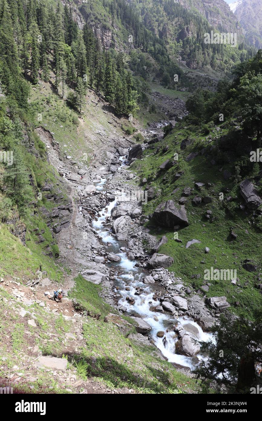 A river flowing in the valley in the deep forest in himalaya surrounded ...
