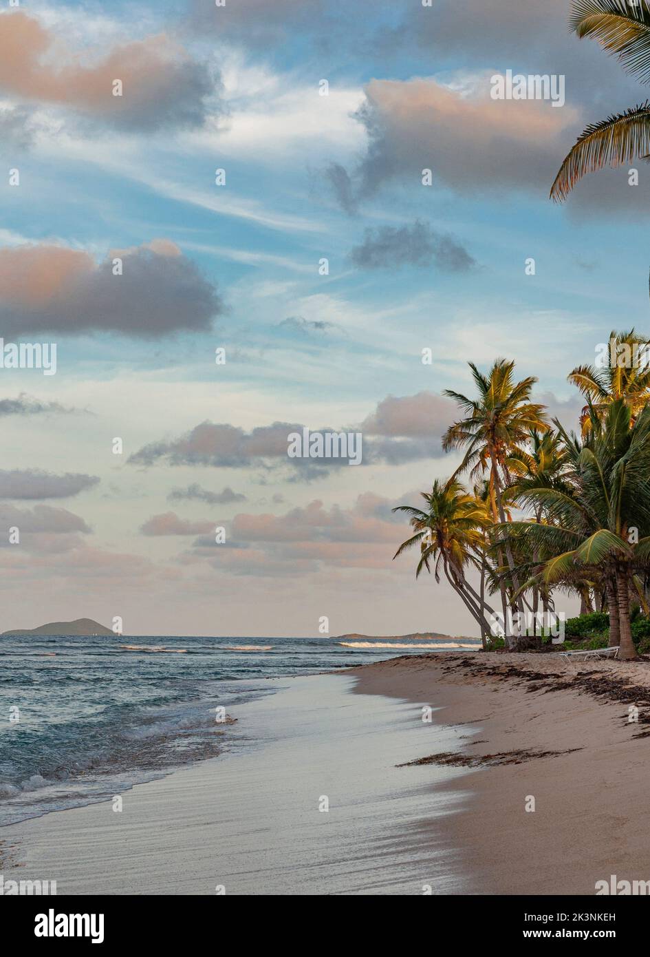 St. Croix Palm Trees At Ocean's Edge Warm Lighting & Colorful Puffy ...