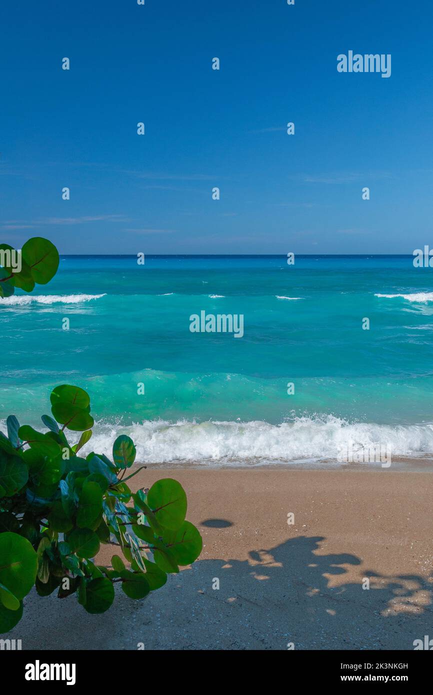 Azure waters caribbean sea hi-res stock photography and images - Alamy