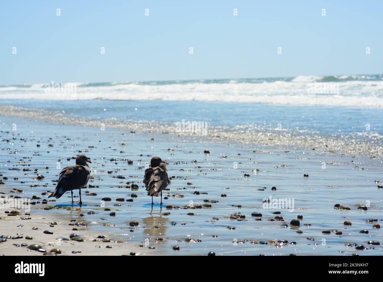 Two birds in landscape hi-res stock photography and images - Alamy