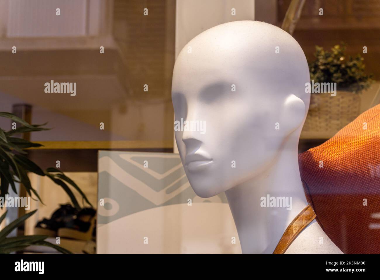 A closeup of the face of white female mannequin behind the glass in ...