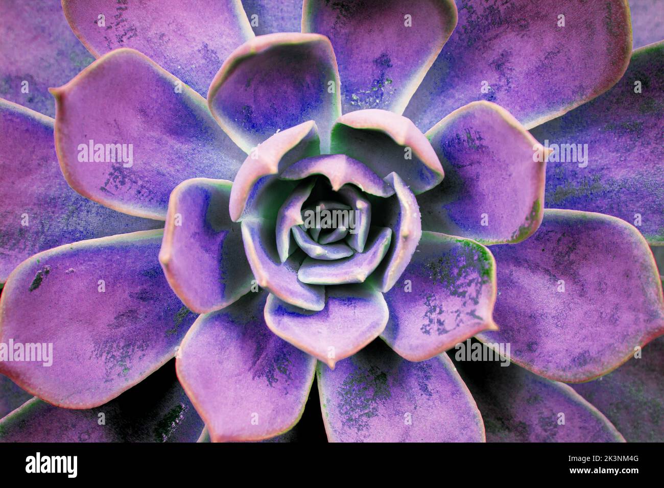 Printable abstract art hi-res stock photography and images - Alamy