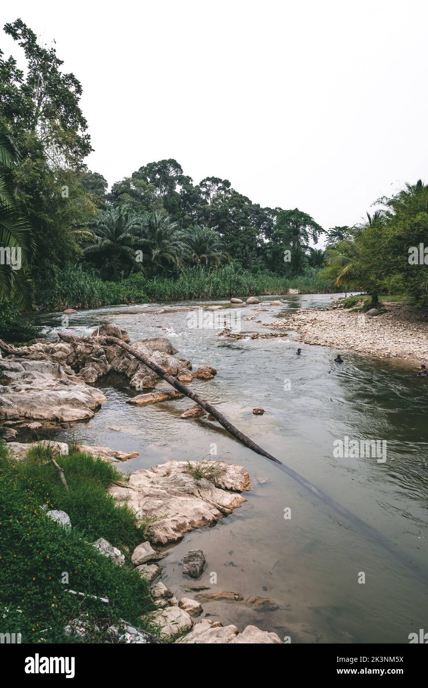Upstream river flowing at Sungai Kampar, Gopeng, Perak Stock Photo - Alamy