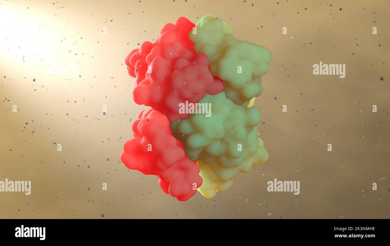 Crystal structure of human transthyretin, illustration Stock Photo - Alamy