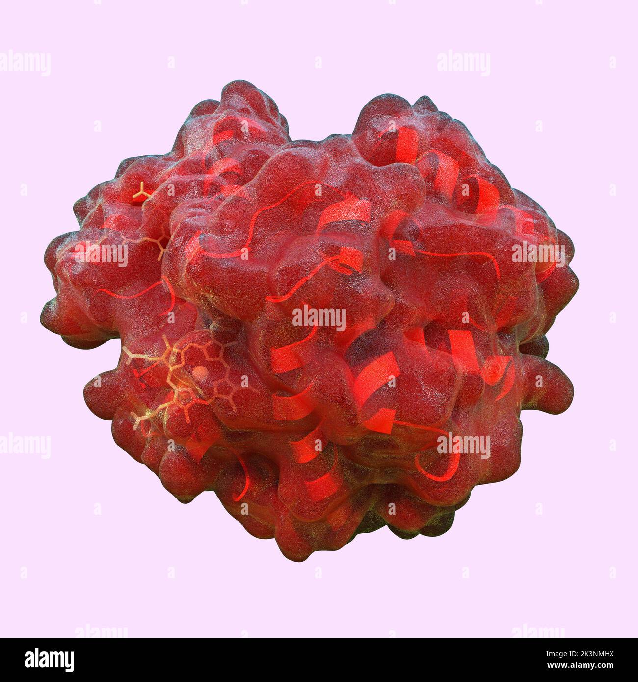 Haemoglobin , illustration Stock Photo - Alamy