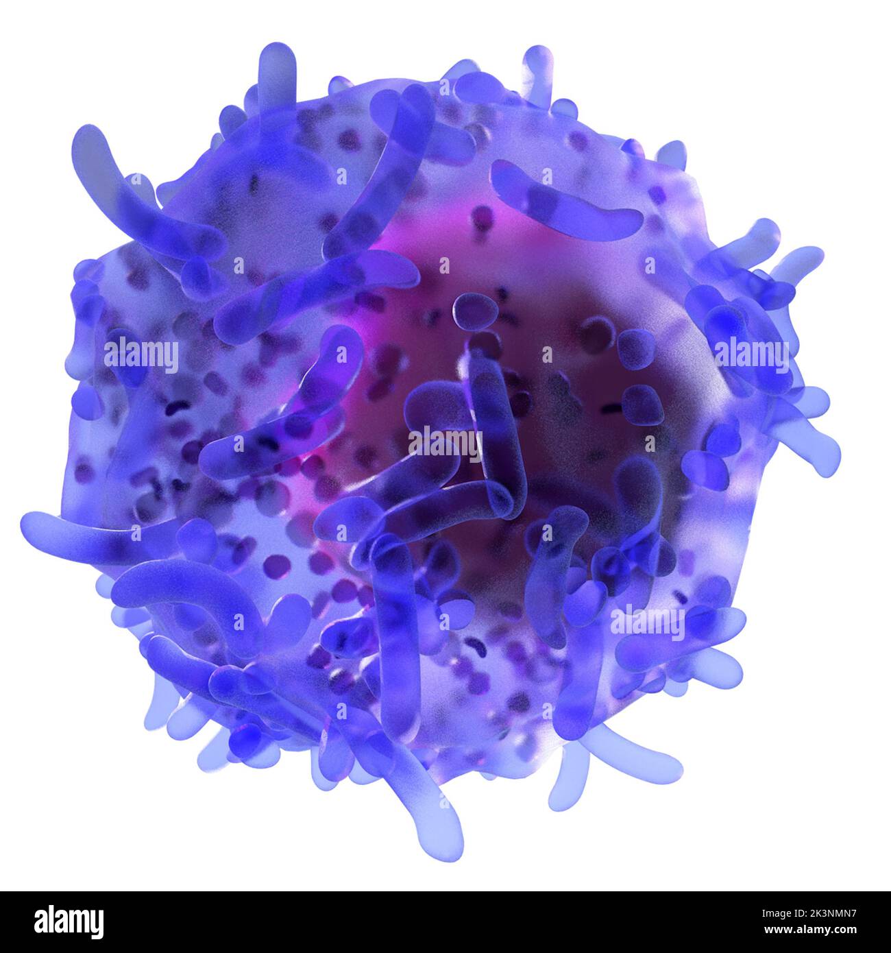 Natural killer cell, illustration Stock Photo - Alamy