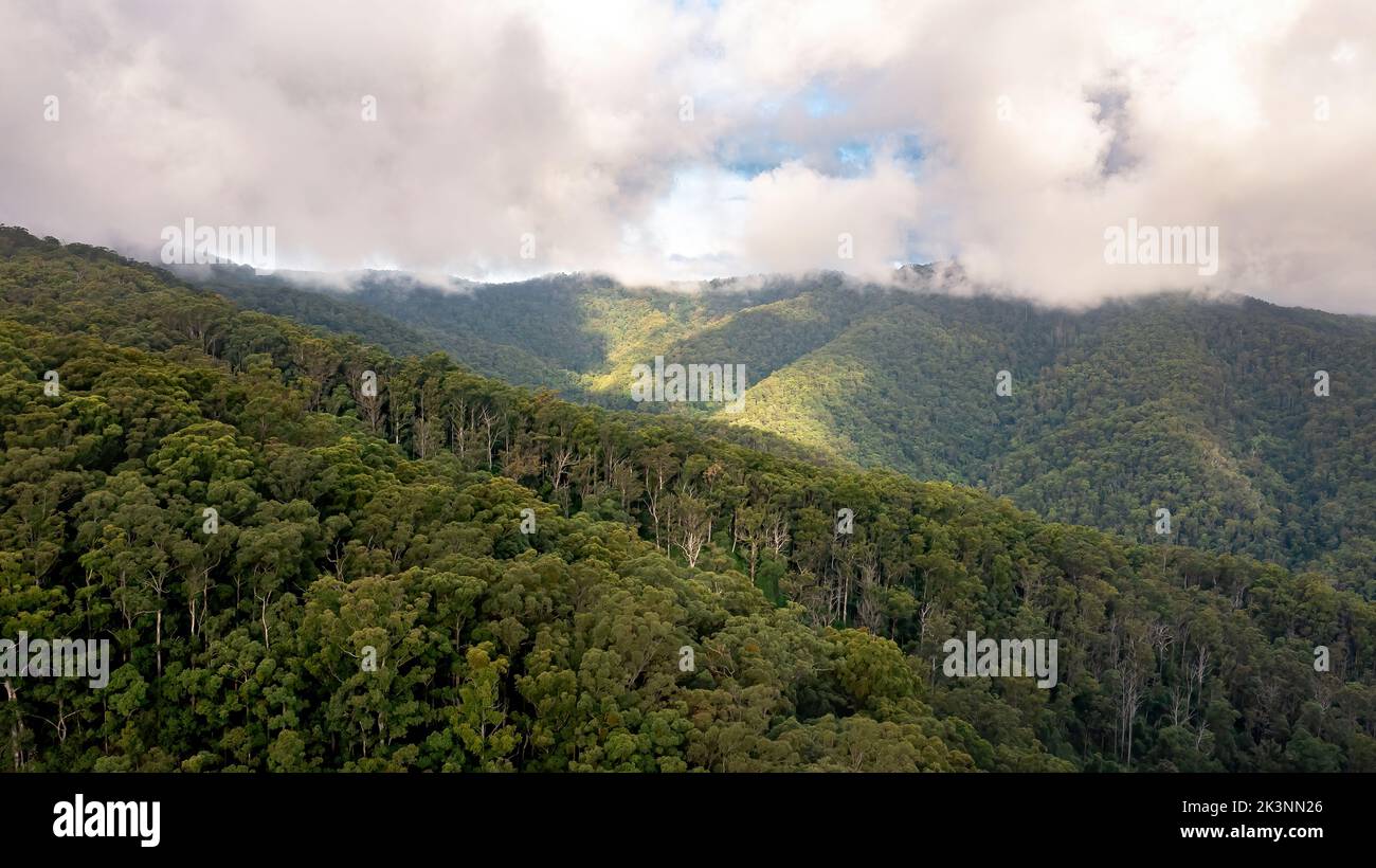 Aerial view of the D'aguilar National Park Stock Photo - Alamy