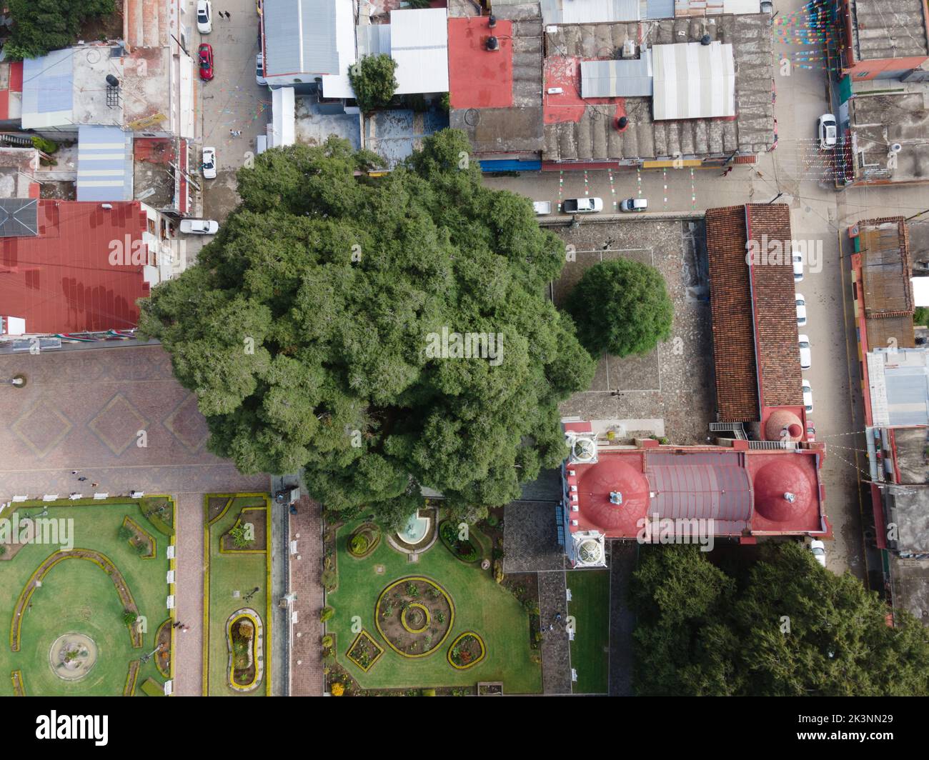 The ancient tree located at Santa Maria del Tule, Oaxaca Stock Photo ...