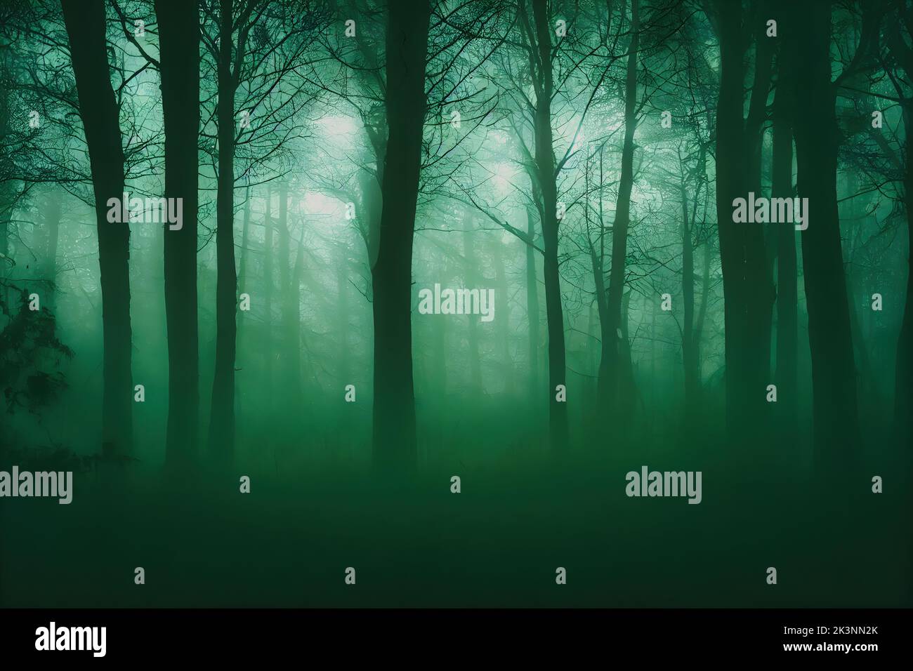 A dark and misty forest trees with a green light Stock Photo - Alamy