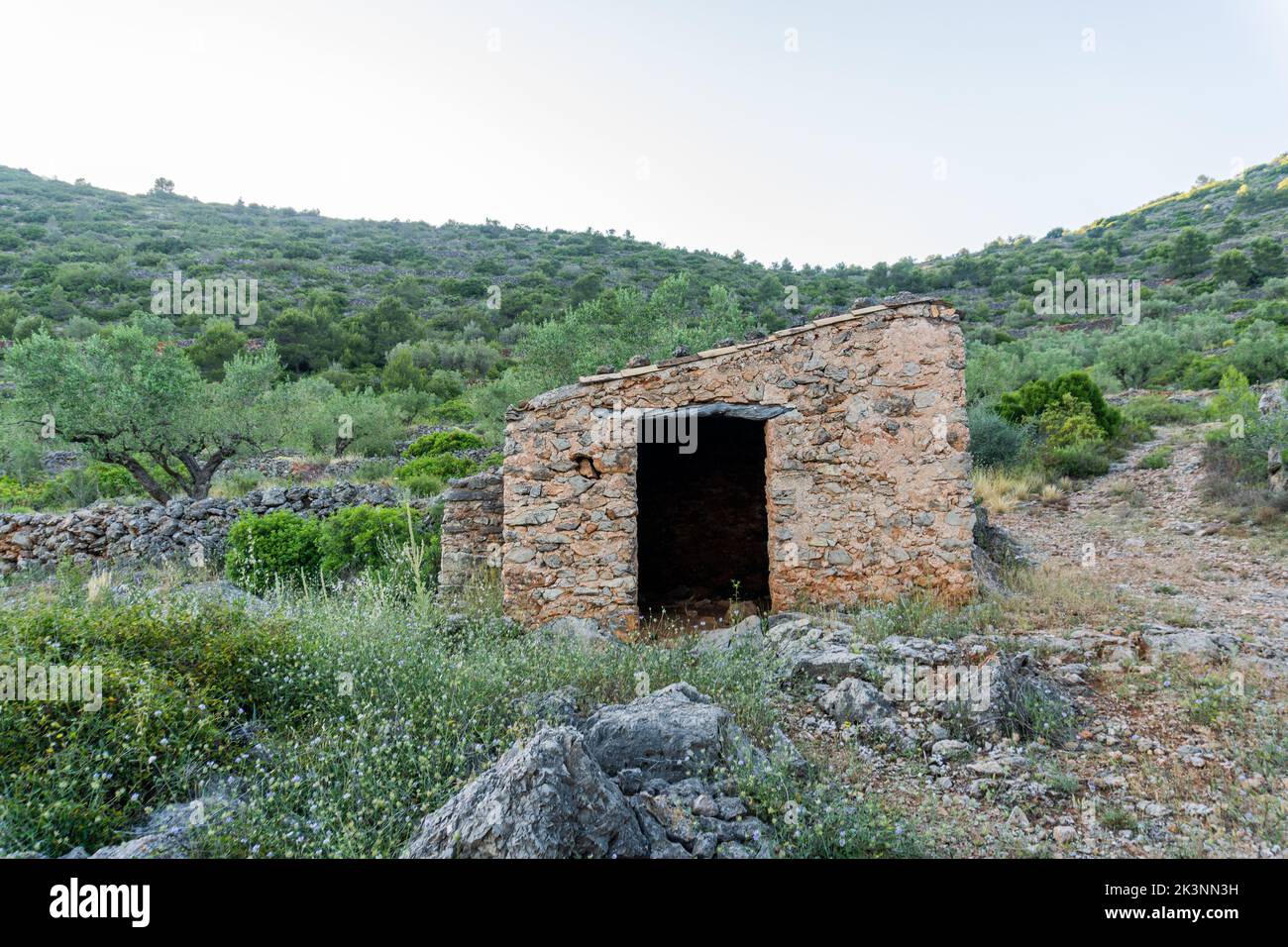 The view of an abandoned building ruins in the green landscape Stock ...