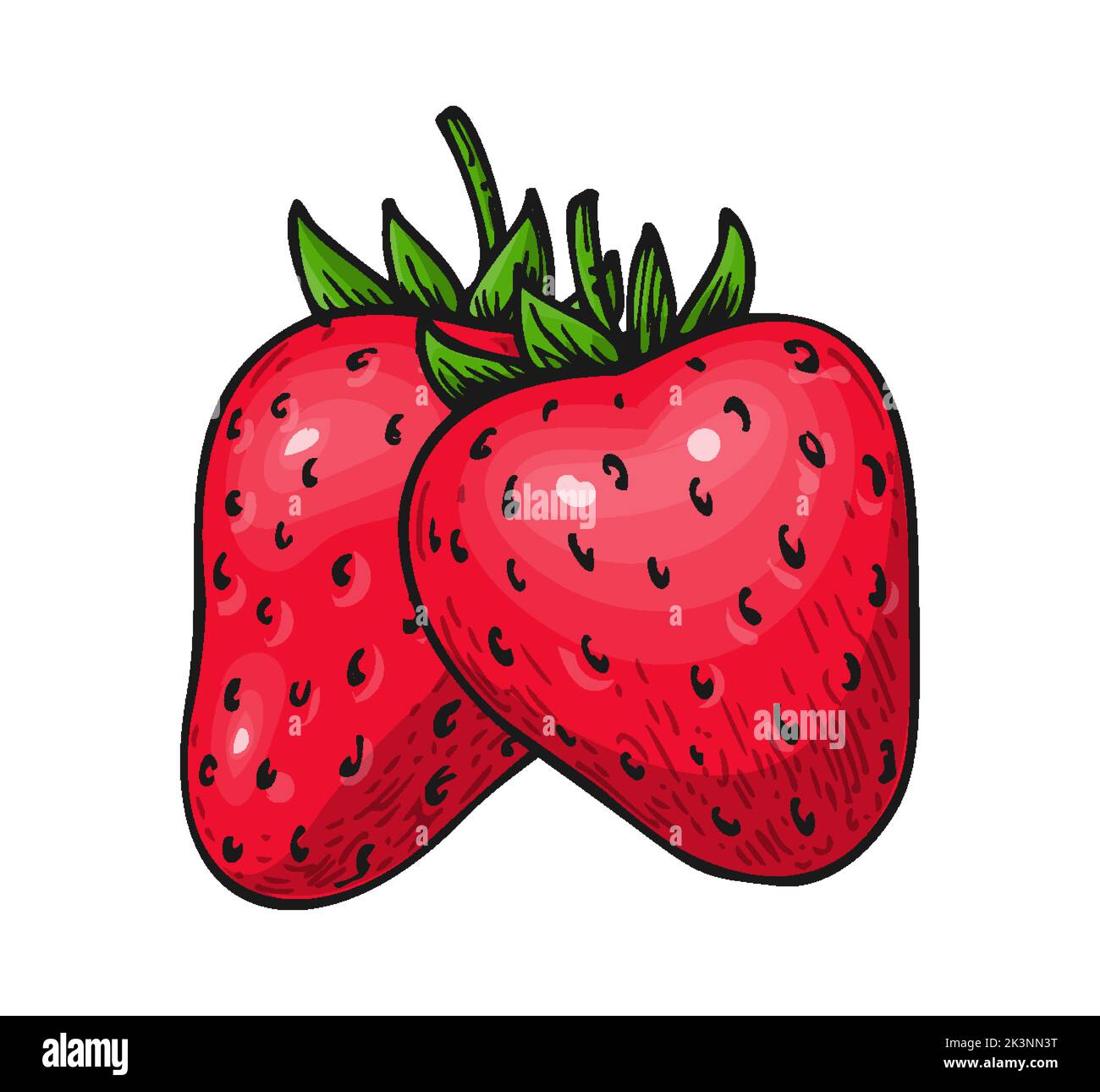 Strawberry handdrawn clip art. Two whole ripe wild forest red berries ...