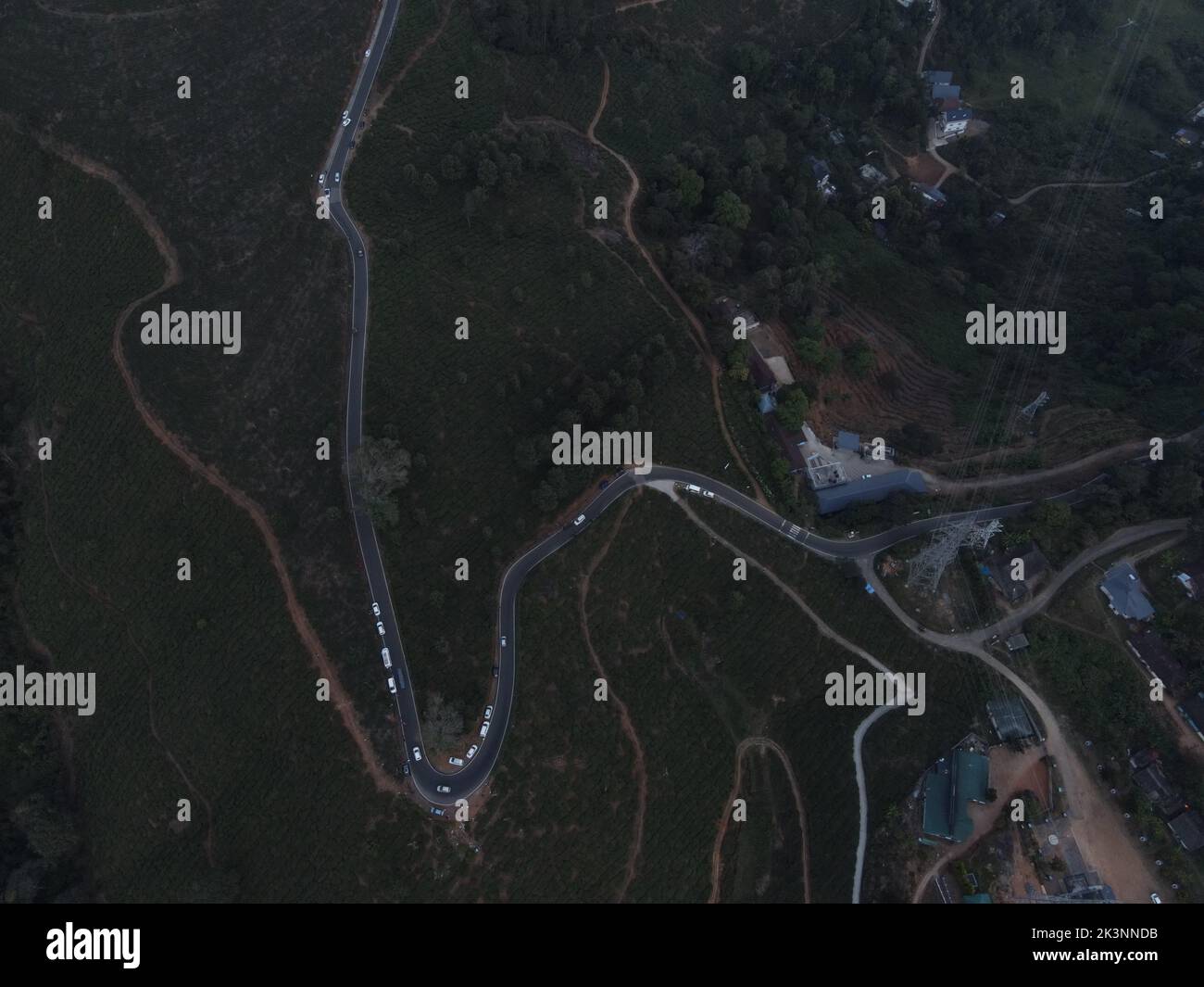 An aerial view of a curvy road passing through green tea plantations in ...
