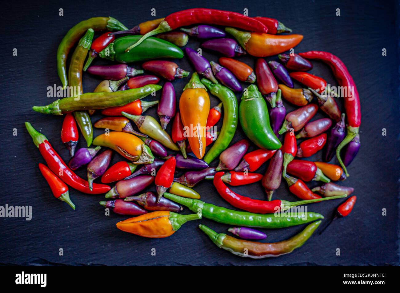 Colorful chili peppers and spices. Assortment of fresh and dryed ...