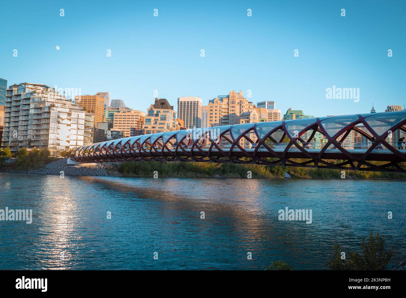 Beautiful peace bridge on bow valley river in Alberta Stock Photo - Alamy