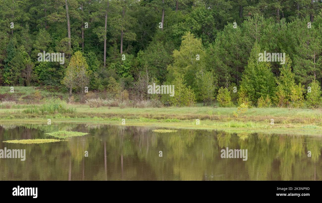 East texas hi-res stock photography and images - Alamy