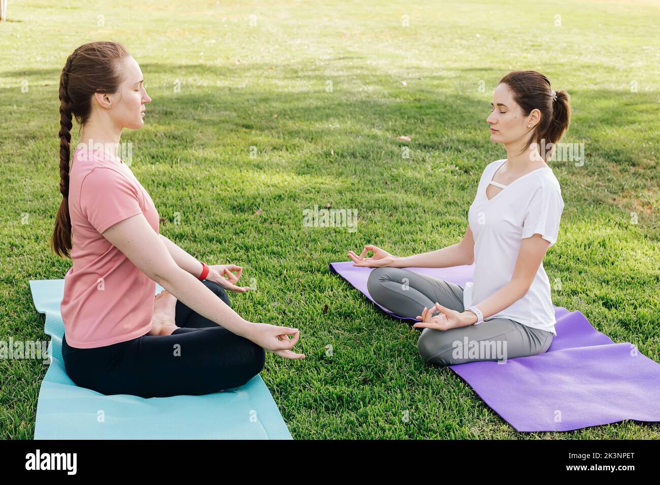 Two young women in the park doing yoga. Exercising outdoors, healthy ...