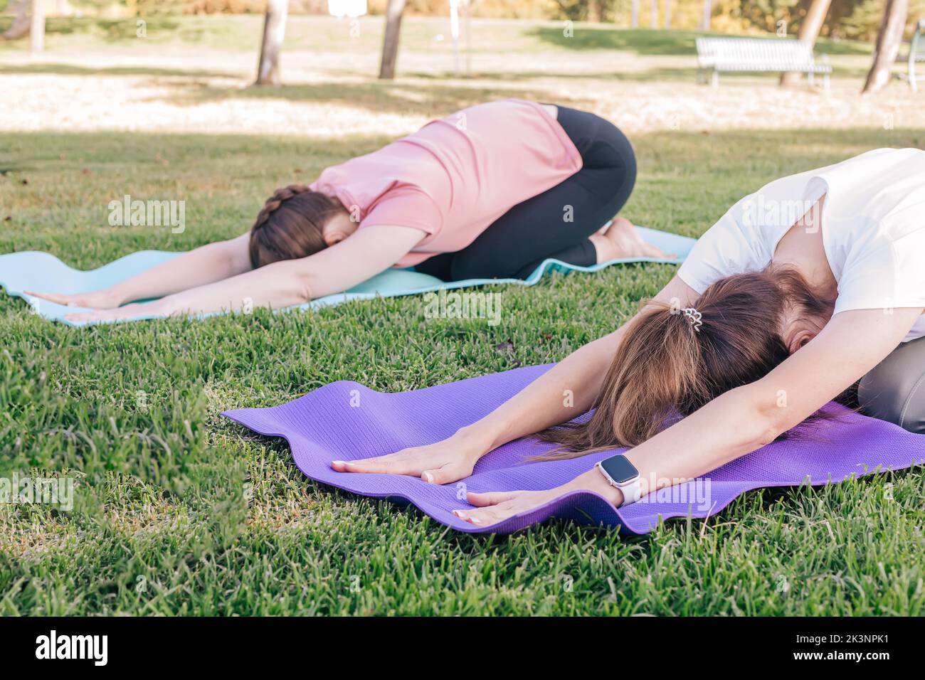 Two young women in the park doing yoga in the morning. Exercising ...