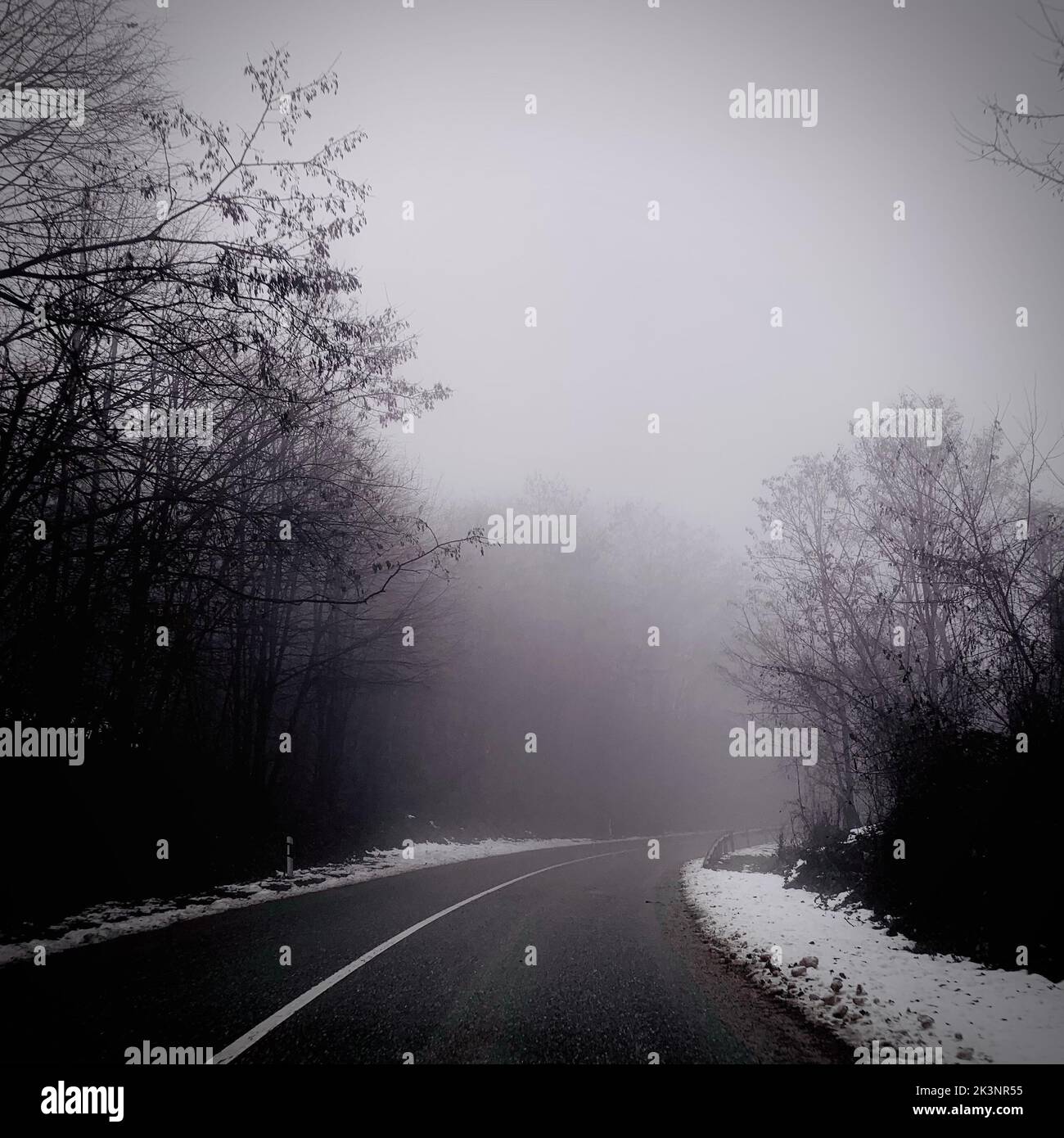 Spooky fog forest trees and road Feeling alone and sad Stock Photo - Alamy