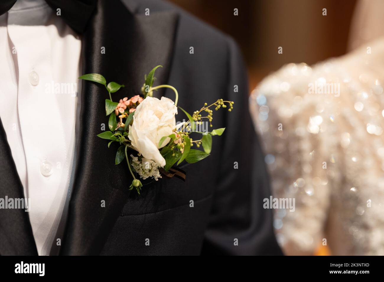 Attaching flower boutonniere formal suit hi-res stock photography and ...