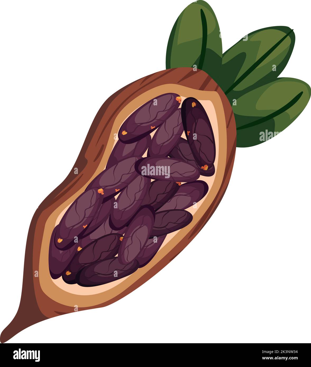 flat cocoa bean design Stock Vector Image & Art - Alamy