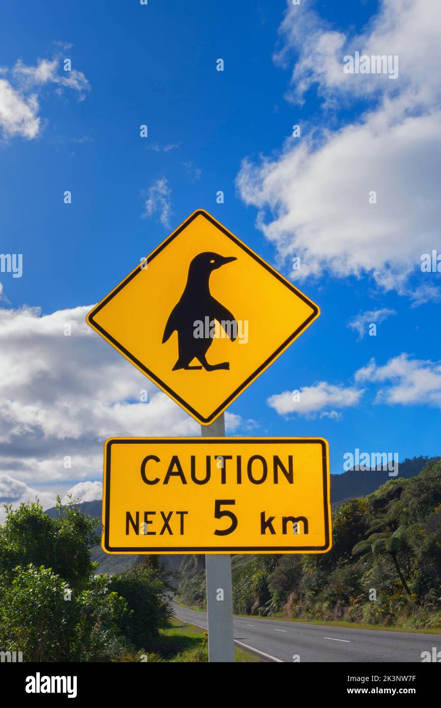 Penguin road hi-res stock photography and images - Alamy
