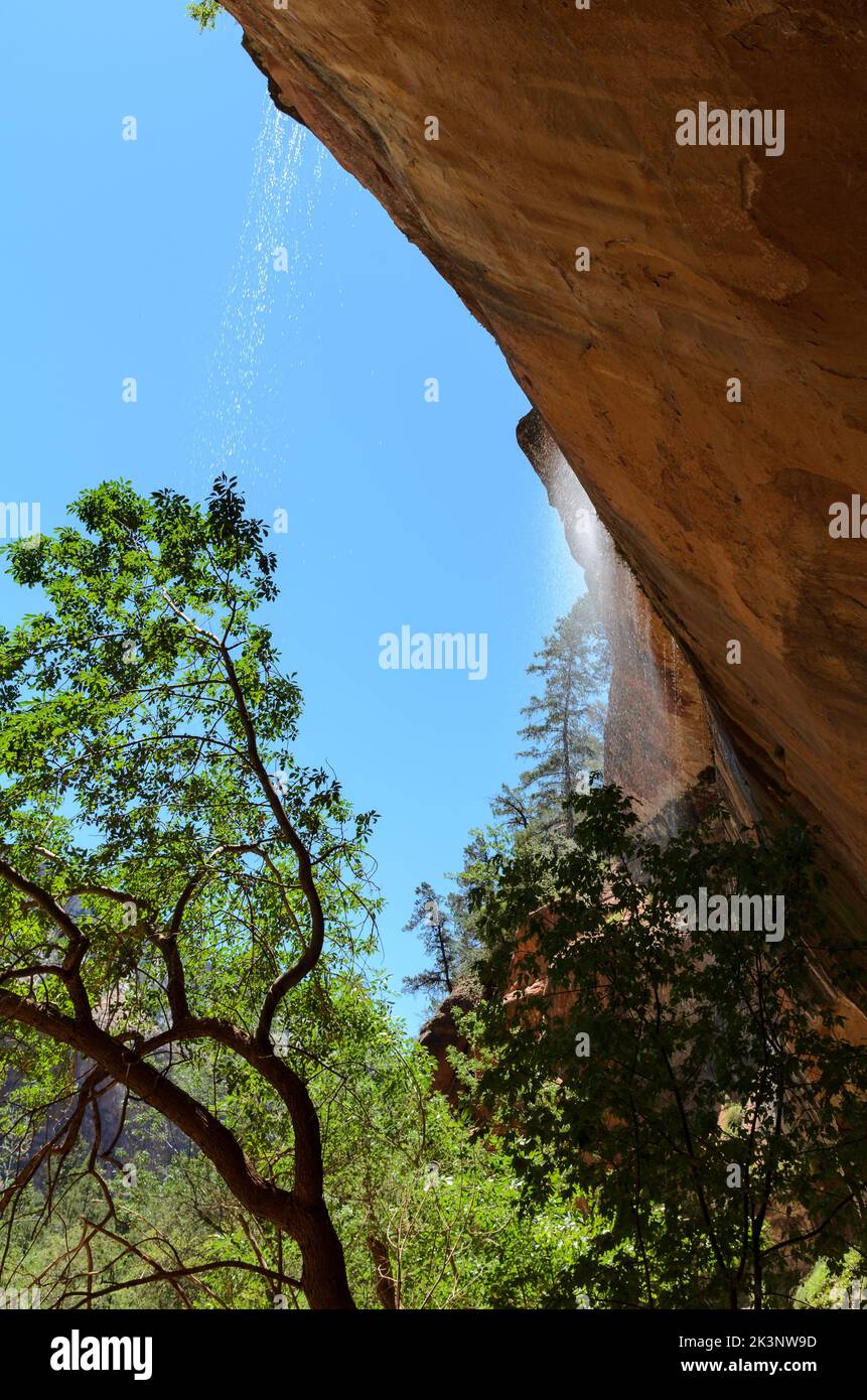 Behind the falls at Lower Emerald Pool in Zion National Park, Utah, USA Stock Photo - Alamy