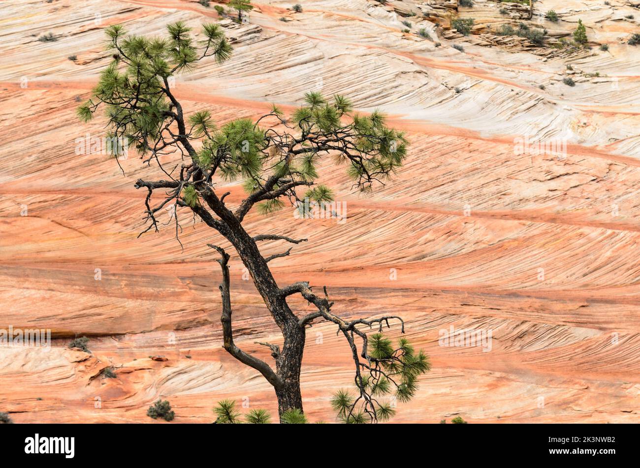 Red rocks mountain park hi-res stock photography and images - Alamy