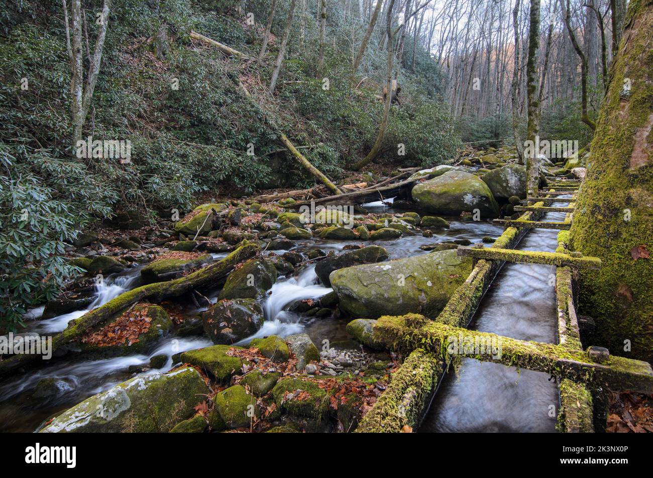 The Roaring Fork Motor Nature Trail in the Great Smoky Mountains ...