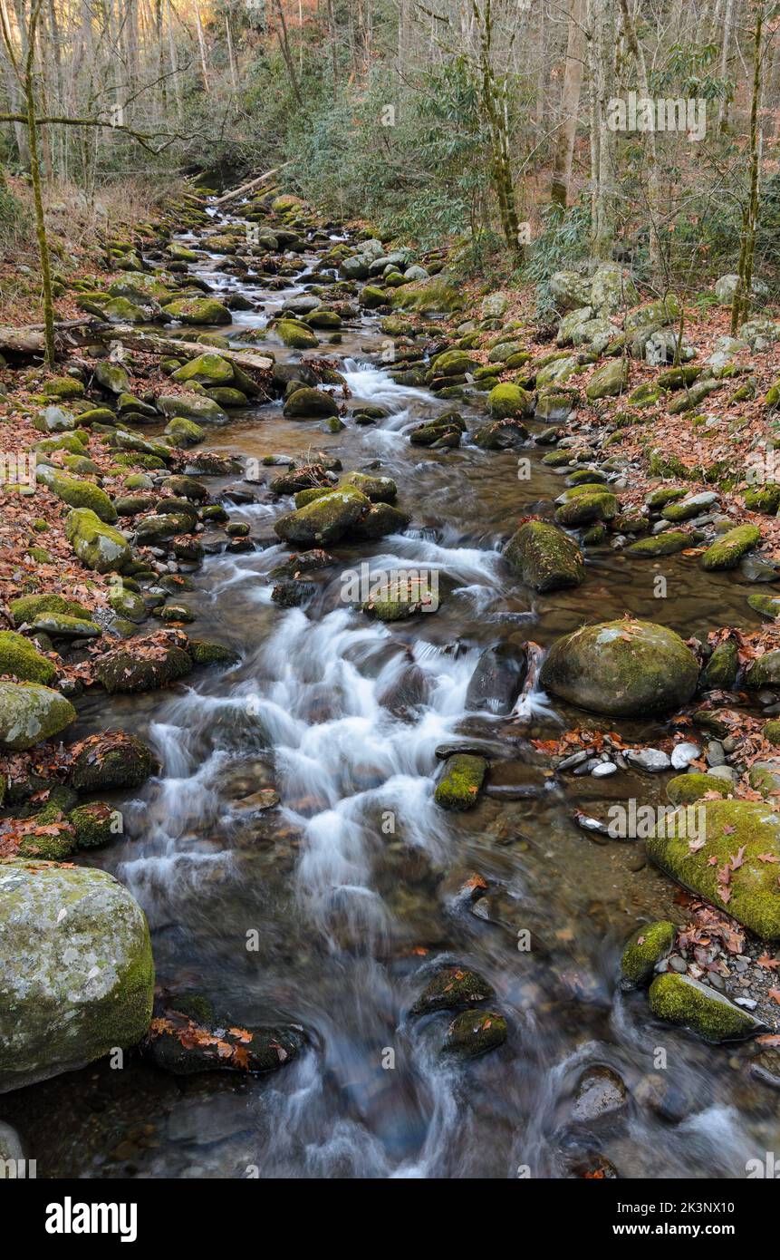 The Roaring Fork Motor Nature Trail in the Great Smoky Mountains ...