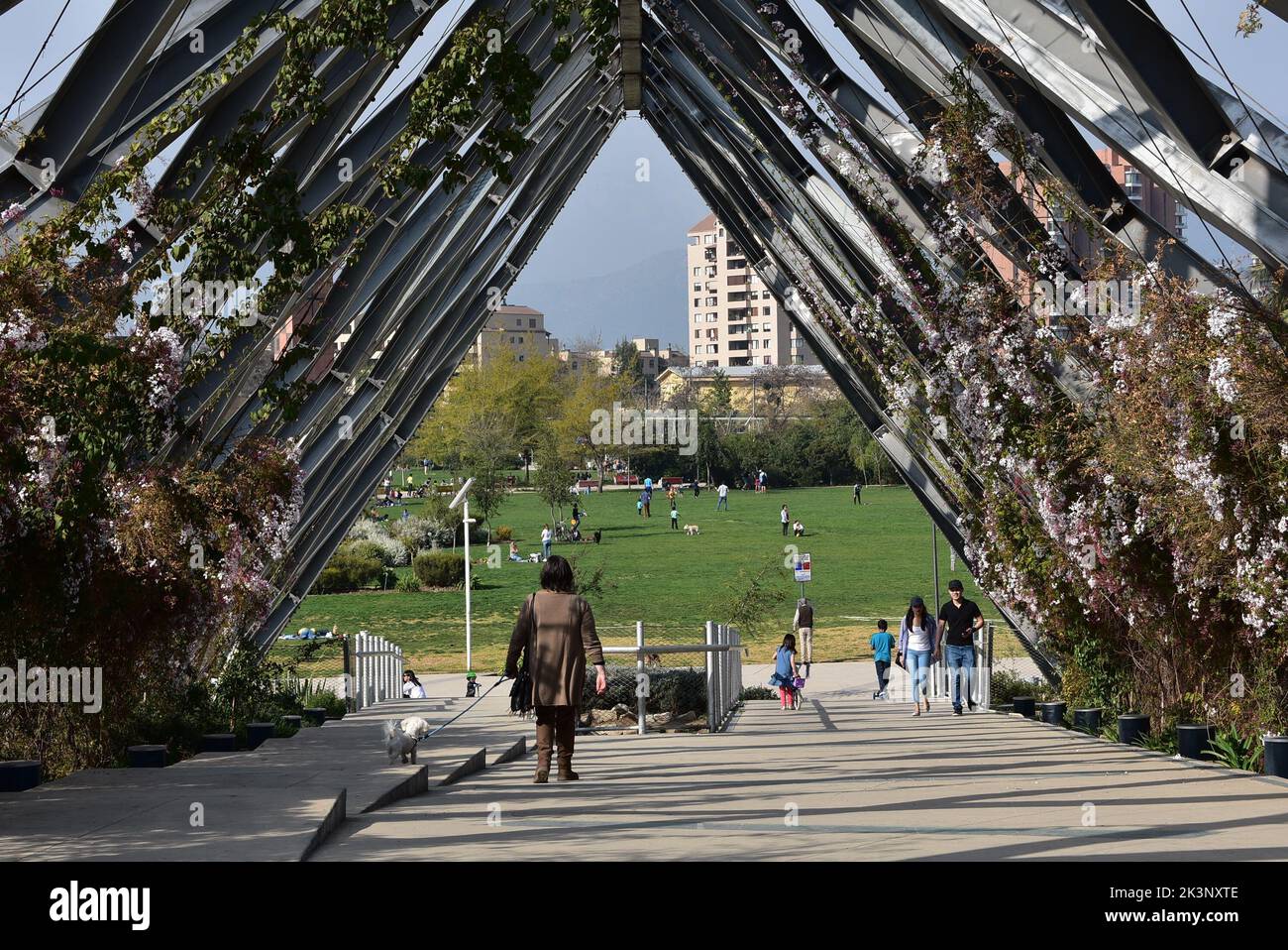 A beautiful view of people in Araucano Park (Parque Araucano) in Chile ...