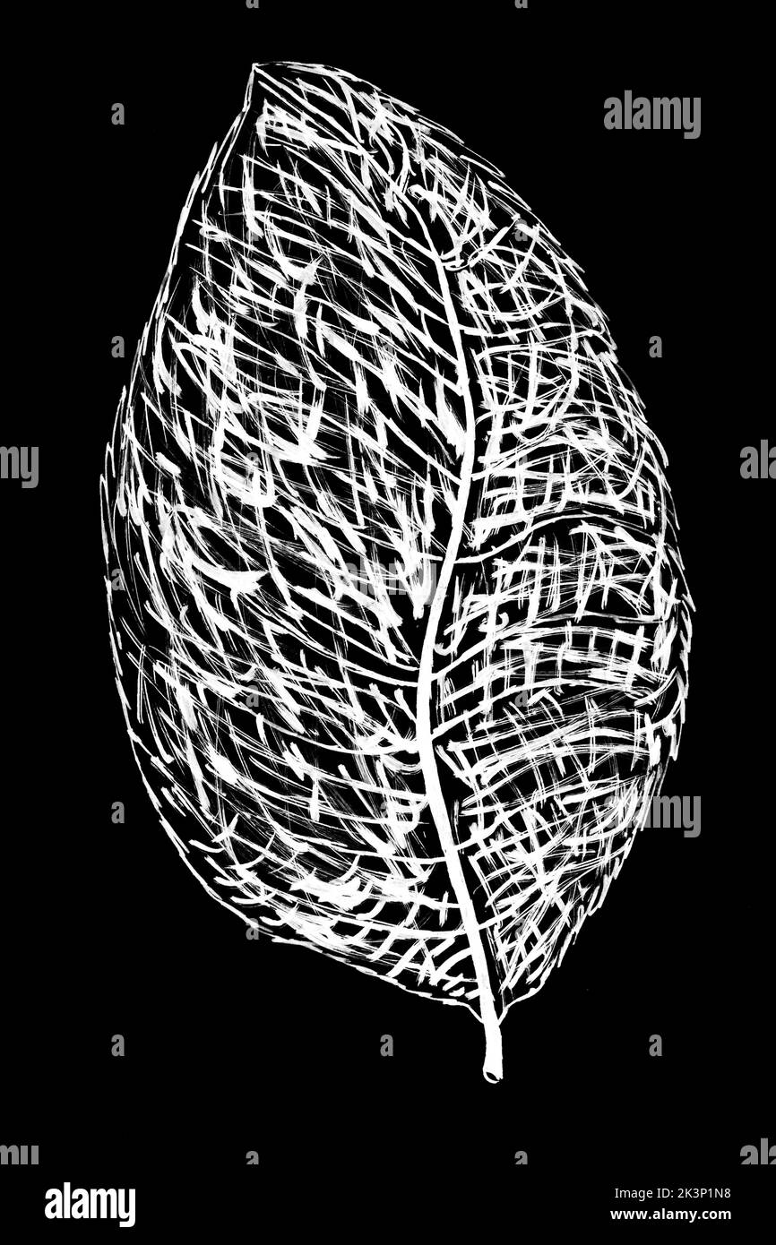 Reproduction trees Black and White Stock Photos & Images - Alamy