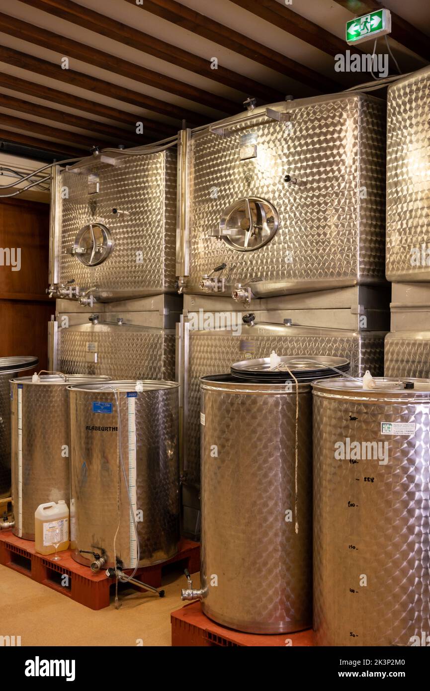 Stages of wine production from fermentation to bottling, visit to wine ...