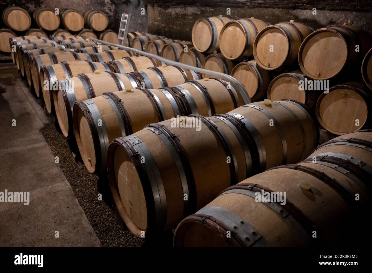 Stages of wine production from fermentation to bottling, visit to wine ...