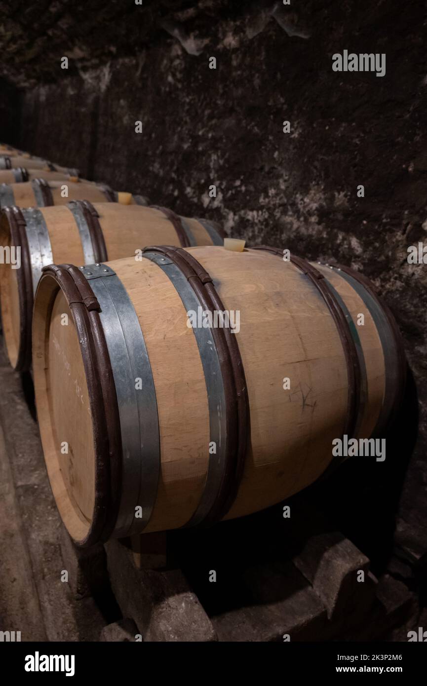Stages of wine production from fermentation to bottling, visit to wine ...