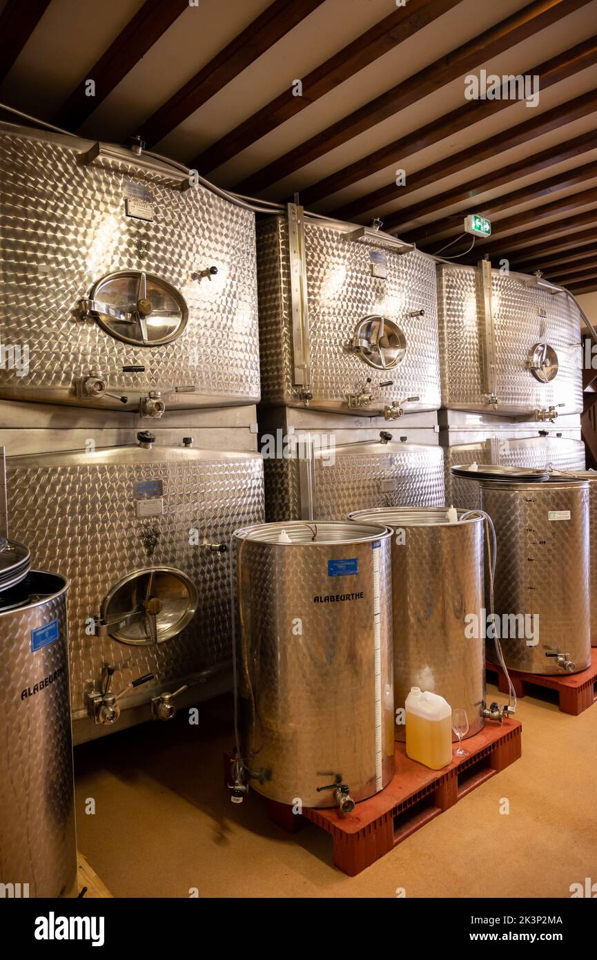 Stages of wine production from fermentation to bottling, visit to wine ...