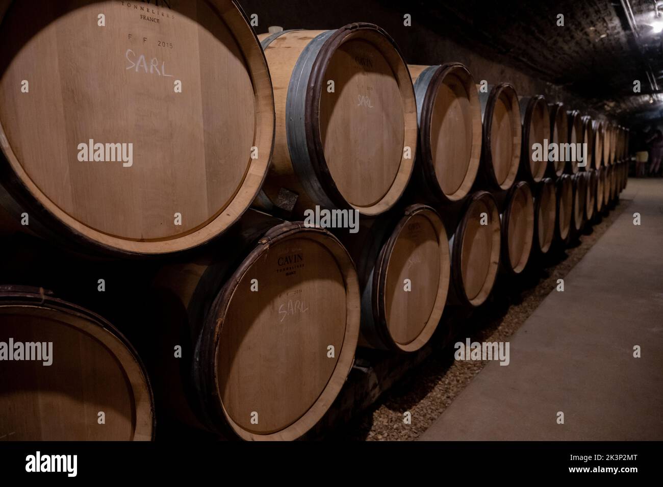 Stages of wine production from fermentation to bottling, visit to wine ...