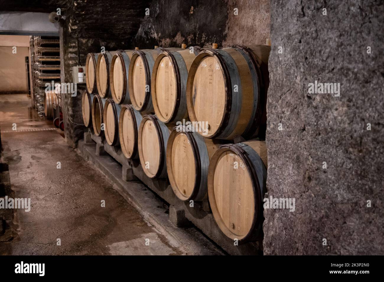 Stages of wine production from fermentation to bottling, visit to wine ...