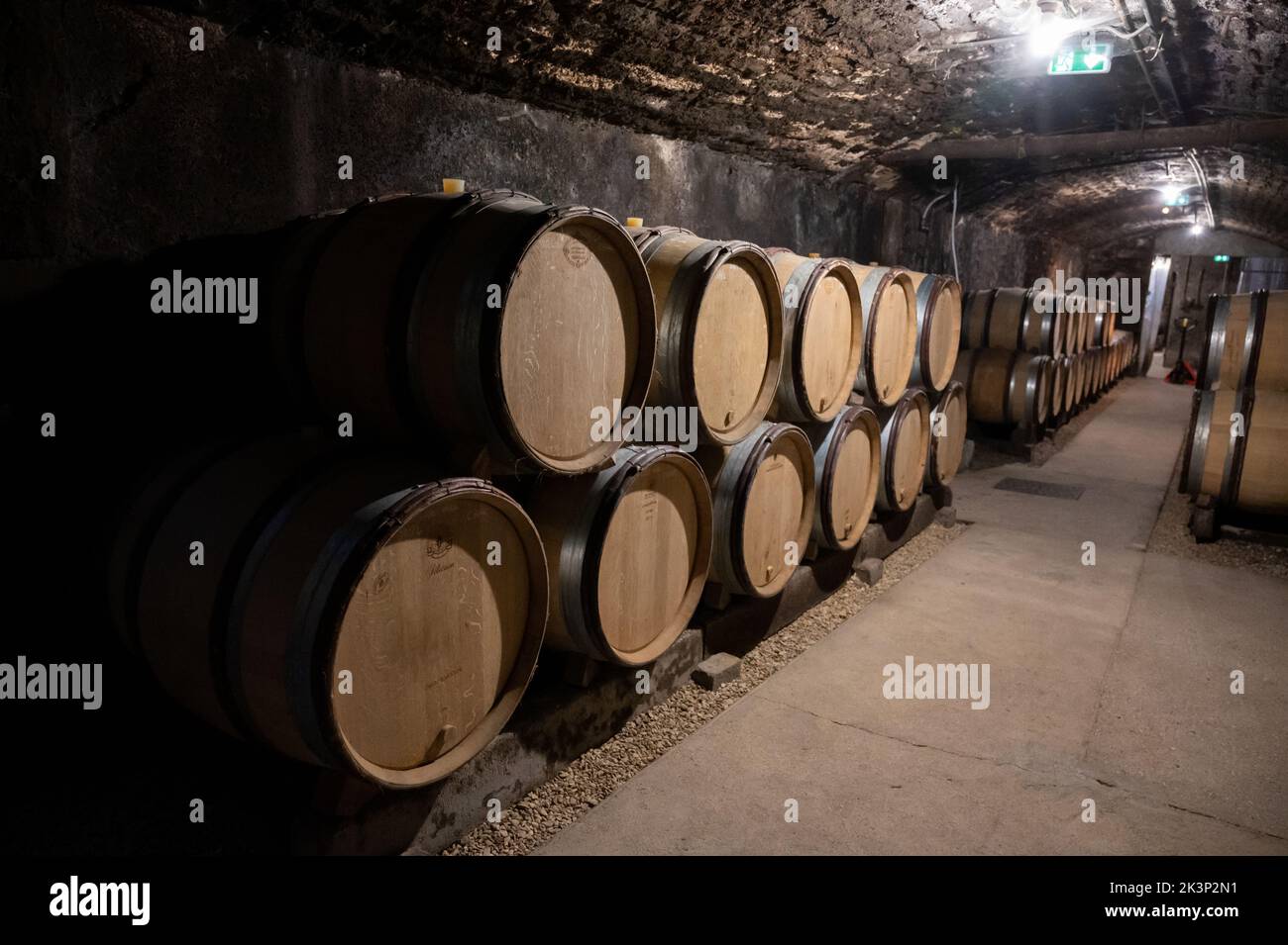 Stages of wine production from fermentation to bottling, visit to wine ...