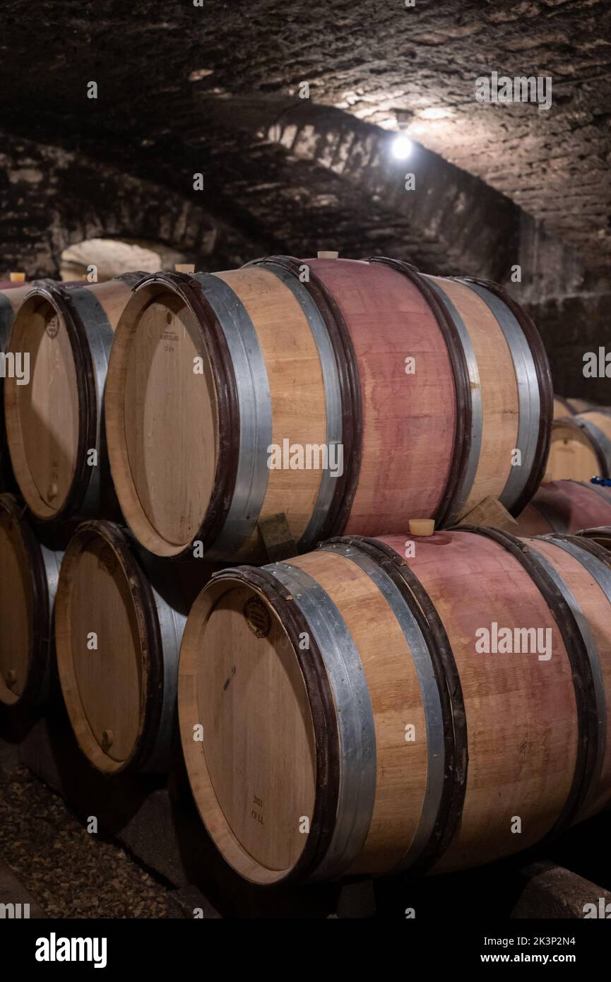 Stages of wine production from fermentation to bottling, visit to wine ...