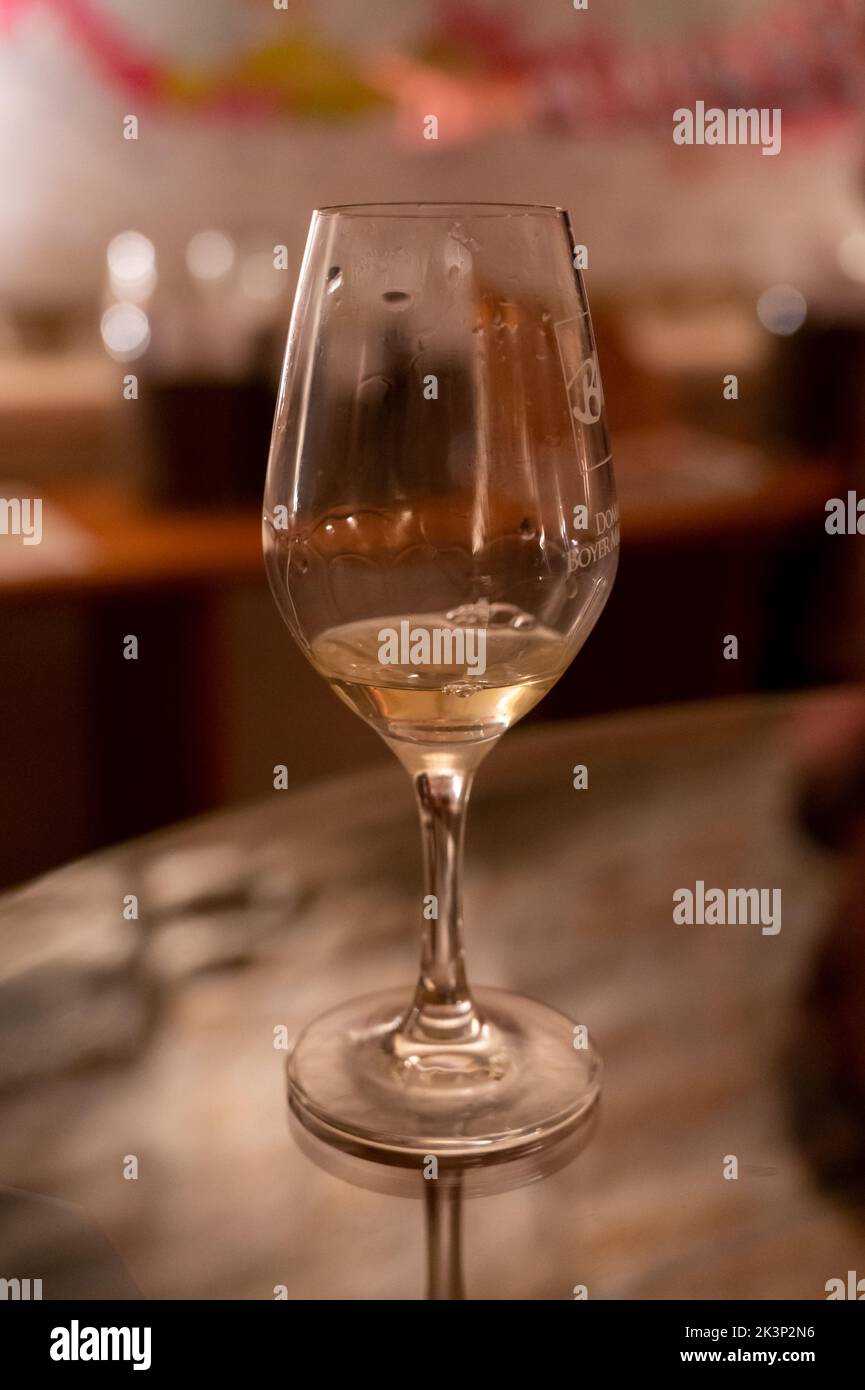 Wine tasting in underground cellars caves of French wine domain in ...