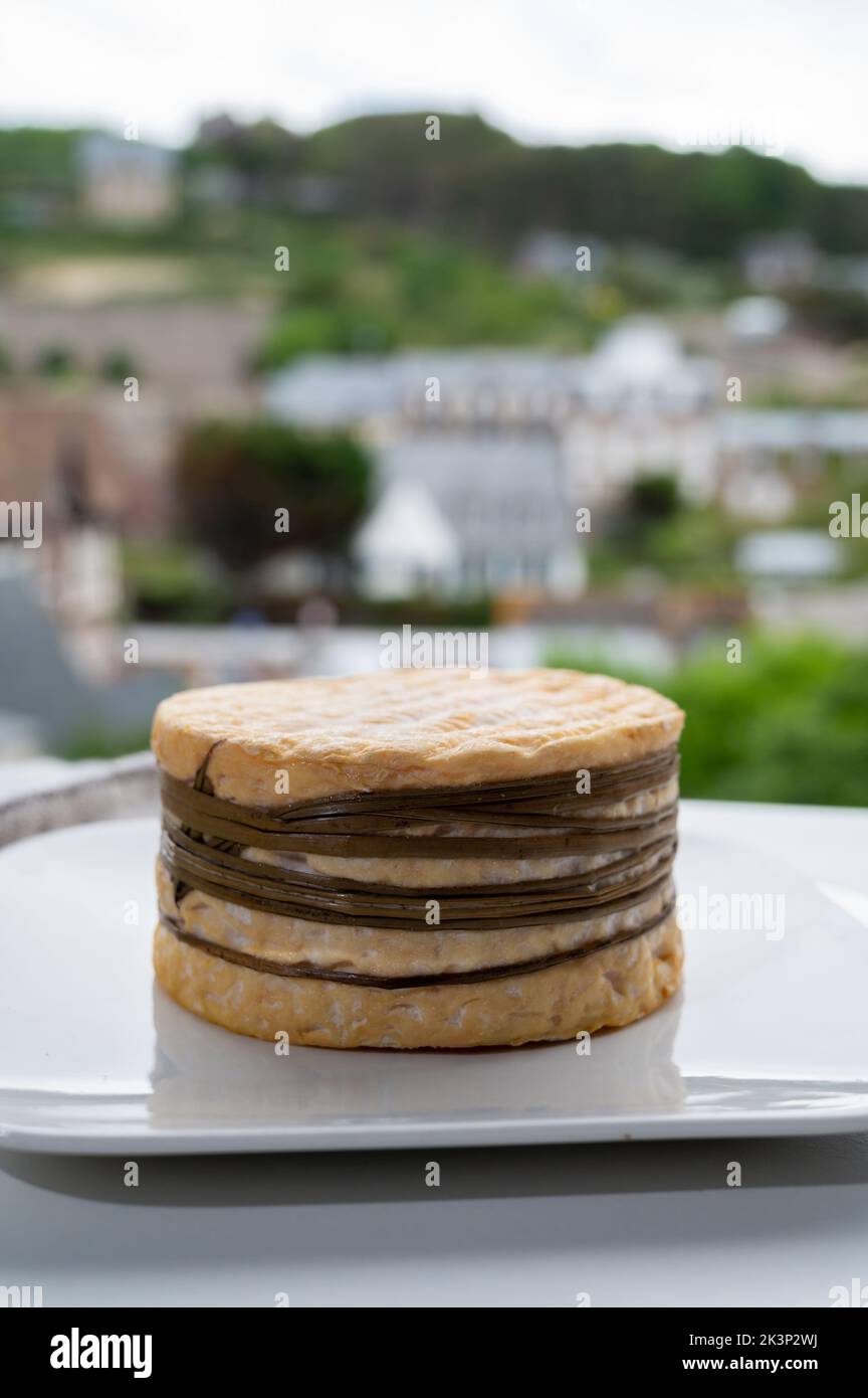 Tasting of yellow livarot cow cheese from Lisieux, Calvados region and ...